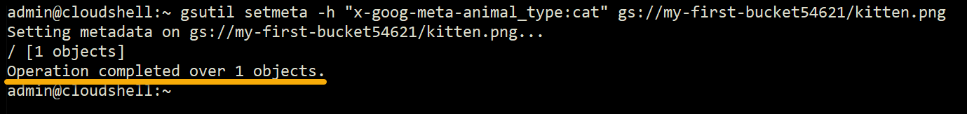通过示例学习 gsutil 命令 – techsyncer